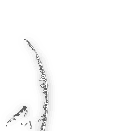 Windy: Wind map & weather forecast