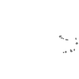 Windy: Wind map & weather forecast